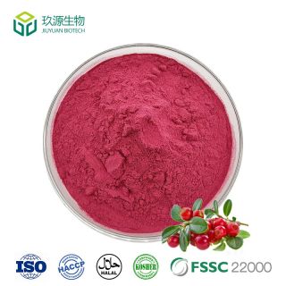 Fruit and Vegetable Powder Wholesale